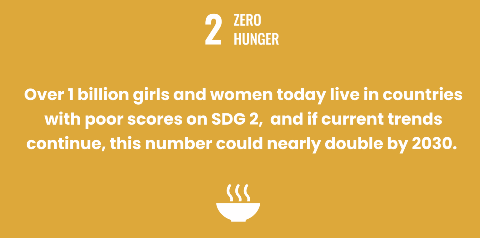 Driving Progress: The Role of Gender Equality Across the SDGs at HLPF ...